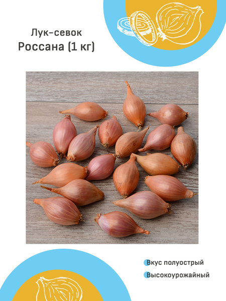 Характеристики Лук-севок Россана (уп-1кг) сетка подробное описание ...