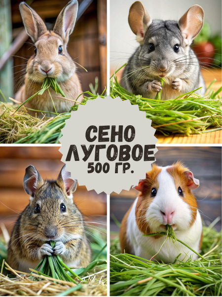 Сено луговое для кролика, морских свинок, шиншиллы, дегу, грызунов. 500 ...