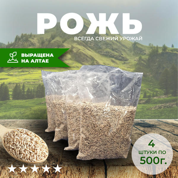 Рожь озимая Подходит для проращивания 2 кг - купить с доставкой по ...