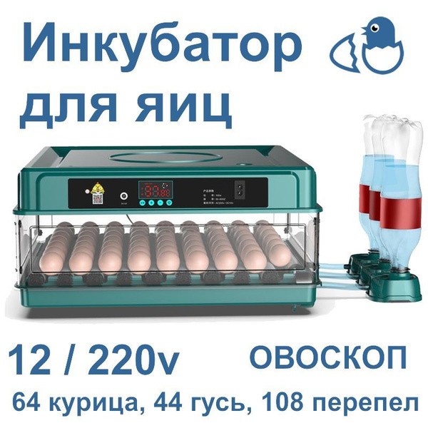 Инкубатор для яиц автоматический 220/12v IG-64 (вентилятор, овоскоп ...