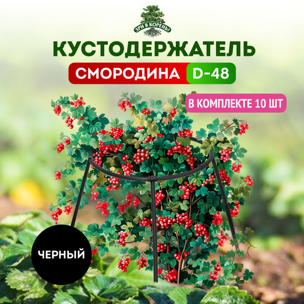 Кустодержатель Зри в корень! Смородина черный, в комплекте 10 шт ...
