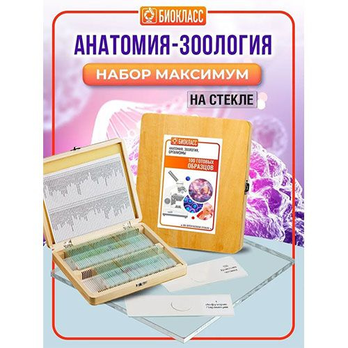 Характеристики Стекла для микроскопа образцы 100 препаратов: АНАТОМИЯ ...
