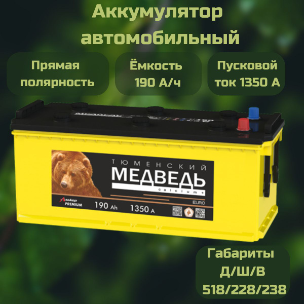 Тюменский Медведь Аккумулятор автомобильный, 190 А•ч, Прямая ...