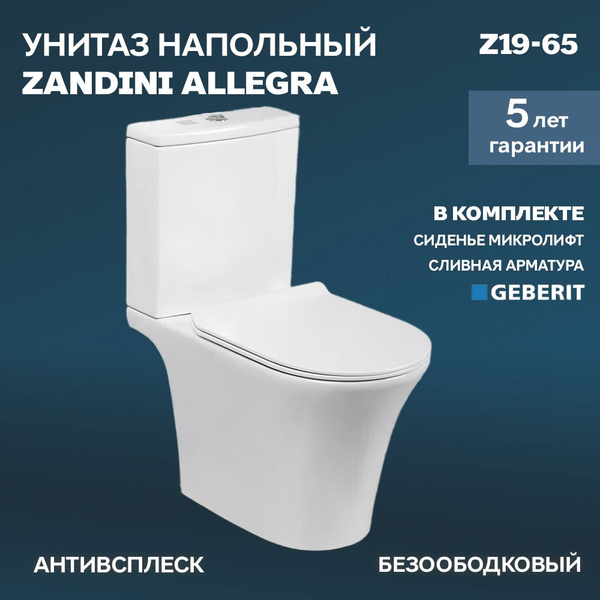 Унитаз напольный безободковый Zandini Allegra Z19-65 - купить с доставкой по выгодным ценам в ...
