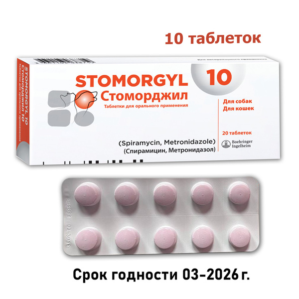 Стоморджил 10 мг, 10 таблеток, для лечения инфекций - купить с ...