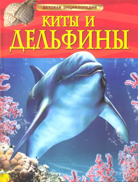 Киты и дельфины. Детская энциклопедия. Познавательная книга о природе ...