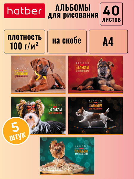 Набор альбомов для рисования 5 штук/5 дизайнов Hatber 40 листов, формата А4, на скобе -Любимые ...