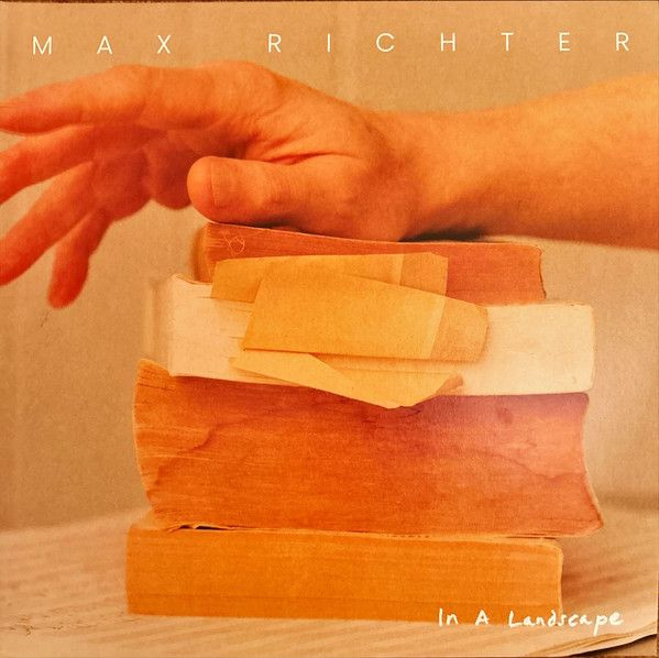 MAX RICHTER In A Landscape (2LP) Винил купить на OZON по низкой цене ...