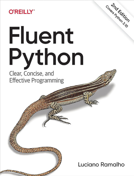 Fluent Python: Clear, Concise, and Effective Programming купить на OZON по низкой цене (1771769439)