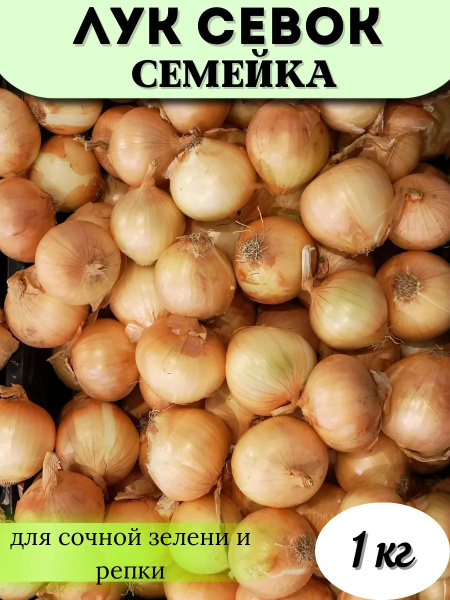 Лук Семейка 1 кг, Лук шалот, Лук для сочной зелени купить на OZON по ...