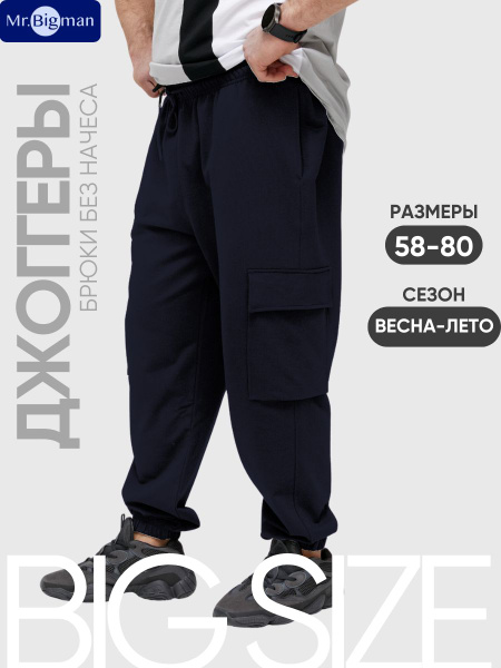 Брюки Мужской MR. BIGMAN джоггеры темно-синий Хлопок, Полиэстер Повседневный, размер 64 Завязки ...