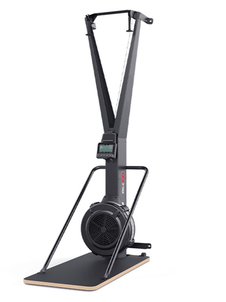 Лыжный тренажёр RW50 купить c доставкой на OZON по низкой цене (1851978026)