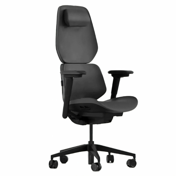 Xiaomi кресло ZUOWE FIT black купить на OZON по низкой цене (1875139151)