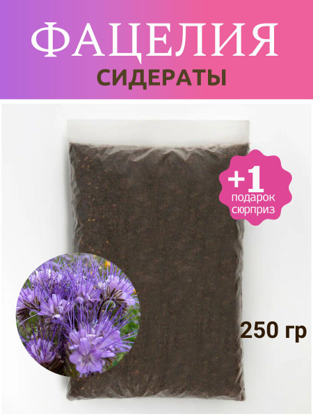 Фацелия сидераты 250 гр - купить по выгодным ценам в интернет-магазине ...