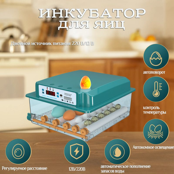 Инкубатор для яиц автоматический, домашний интеллектуальный,16 яиц ...