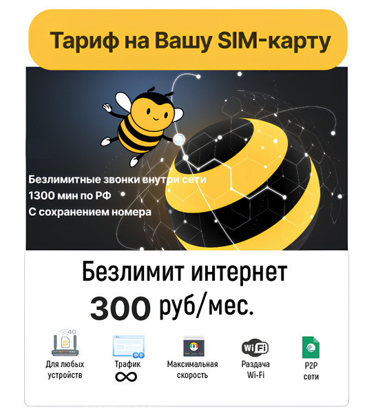 SIM-карта Билайн на Вашу сим-карту (Вся Россия) - купить с доставкой по ...