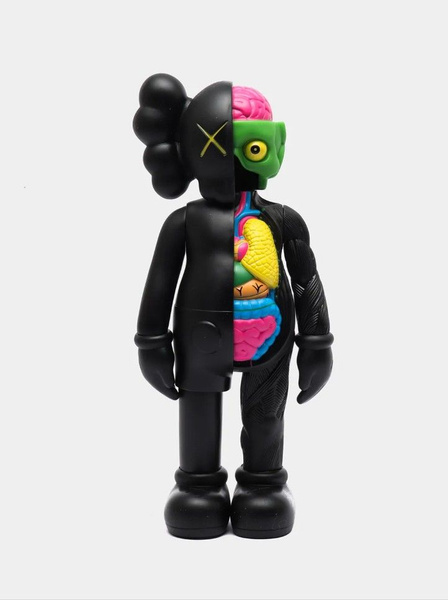 Игрушка Kaws анатомия 37 cm купить на OZON по низкой цене (1525585125)
