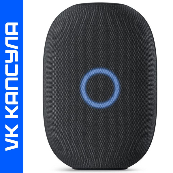 Умная колонка VK Капсула - купить по доступным ценам в интернет-магазине OZON (1547943600)