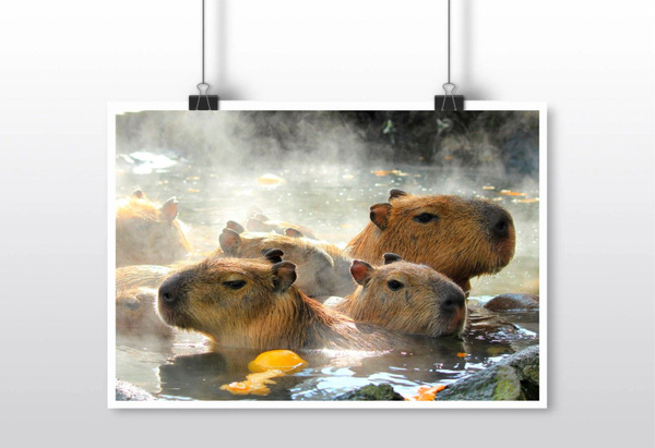 Характеристики Плакат MIGOM А2 принт "Capybara v2, Капибара" - v0005 ...