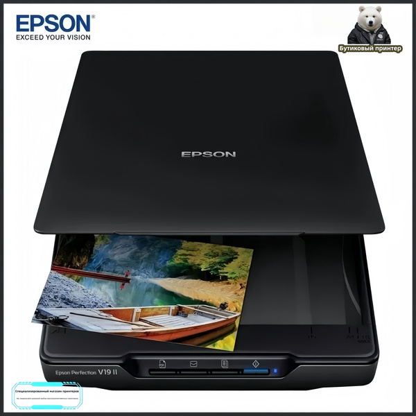 Сканер Epson V19 II - купить по выгодной цене в интернет-магазине OZON ...