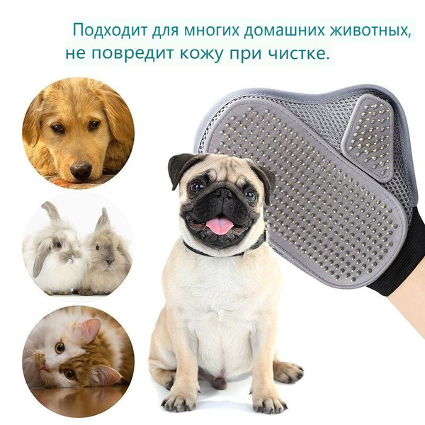 Характеристики Перчатка для вычесывания шерсти кошек и собак, чесалка ...