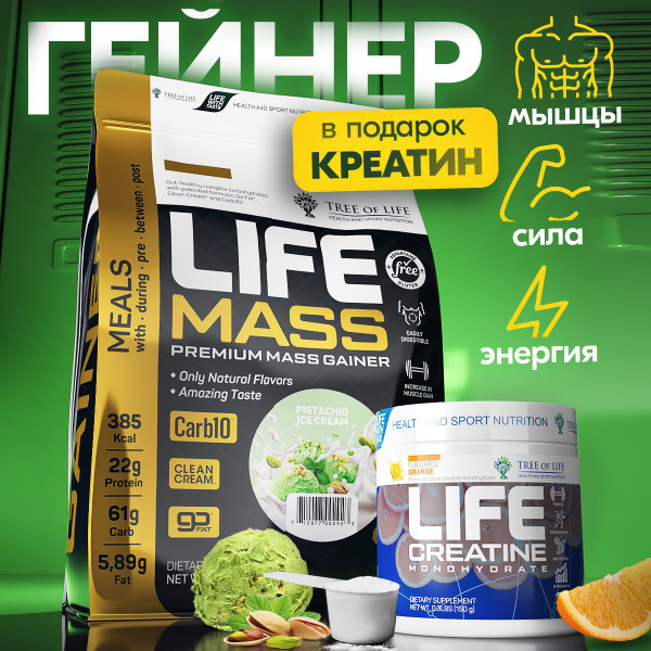 Комплекс Гейнер Tree of life Mass GAINER 6LB вкус Фисташка + Креатин ...