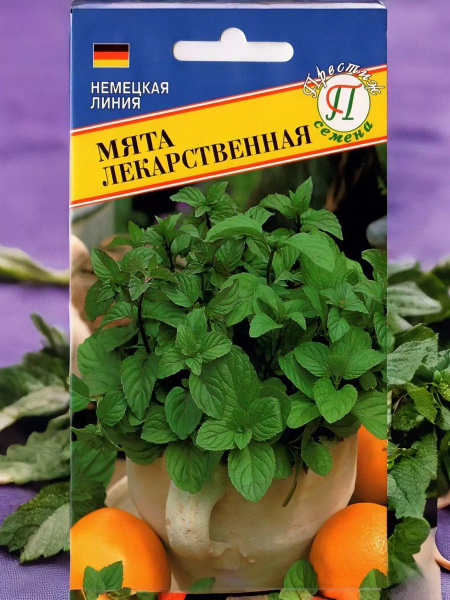 Мята Престиж-Семена Пряные травы - купить по выгодным ценам в интернет ...