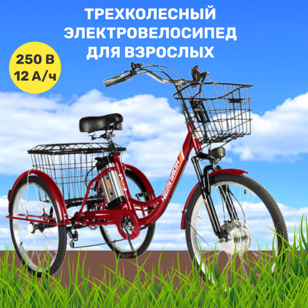 Электровелосипед взрослый трехколесный РВЗ Чемпион 24, красный 250,12 ...