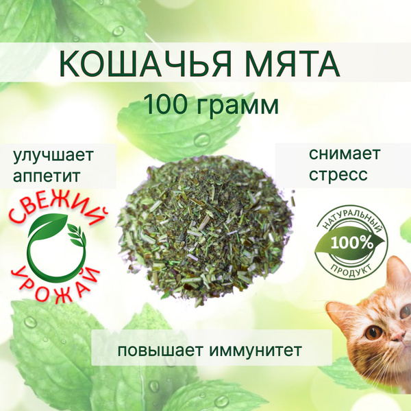 Кошачья мята сушеная лакомство для кошек и котов 100 грамм в пакете ...