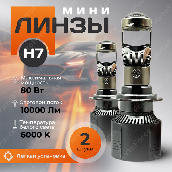 Лампа автомобильная AvtoForce 12 В, 2 шт. купить c доставкой на OZON по низкой цене (1644239322)