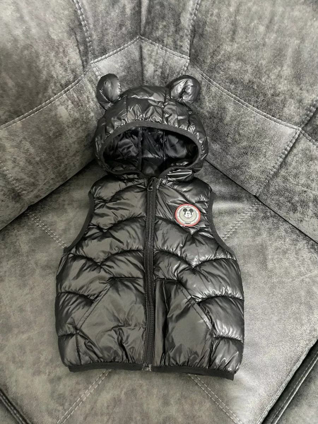 Жилет Мальчики, Девочки THANHDAT черный, черный кварц, размер 104, 110 купить c доставкой на ...