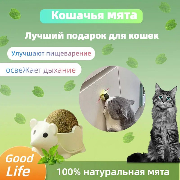 Шарик с кошачьей мятой в форме ёжика, игрушка для кошек с креплением на ...