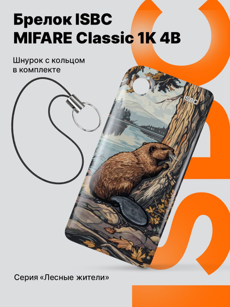 Ключ-карта ISBC MIFARE Classic 1K 4B "Лесные жители; Бобр" арт. 121-57363 купить на OZON по ...