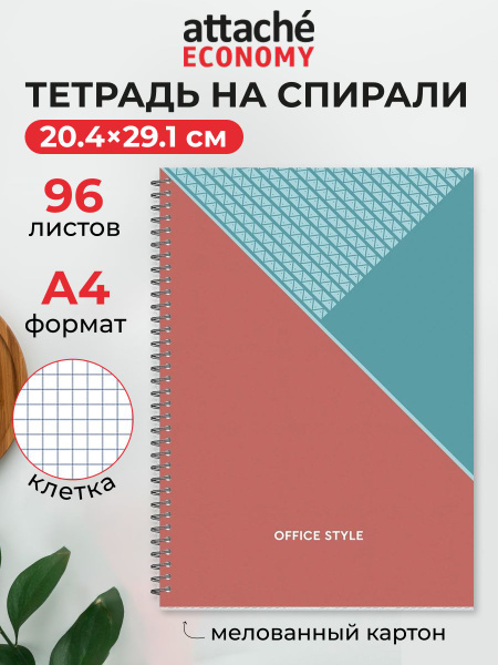 Тетрадь Attache Economy, A4, 96 листов, в клетку, на спирали купить на OZON по низкой цене ...