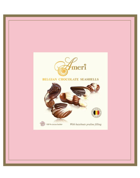 Шоколадные конфеты с начинкой пралине Ameri 250 г, Бельгия купить на OZON по низкой цене ...