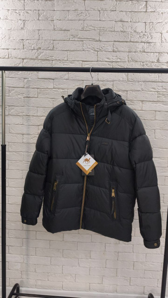 Пуховик Мужской AGB Капюшон, Карманы зернистый черный капюшон Полиэстер, размер 48 Длинный Зима ...