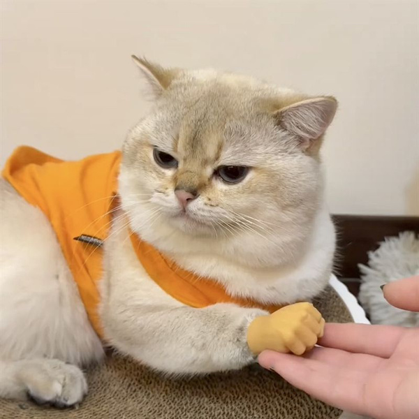 Игрушка Для Кошек/ Щекоталки/ Маленькие Ручки На Палец - купить с ...