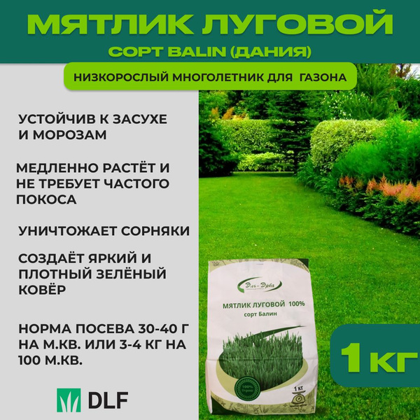 Газонные травы Газоны Эль-Эрба мятлик - купить по выгодным ценам в ...