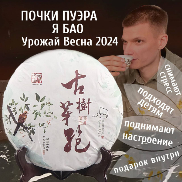 Белый китайский чай Я Бао. Урожай весна 2024 года. Почки пуэра купить ...