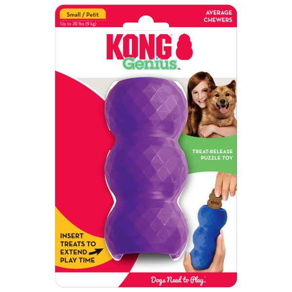 Kong Genius Mike Игрушка головоломка для лакомств, S, фиолетовая купить ...