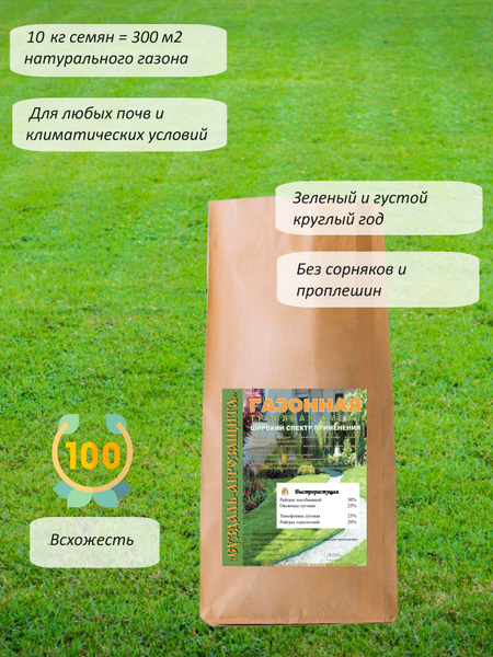 Газонные травы, Овсяница Агрозащита Быстрорастущая - купить по выгодным ...