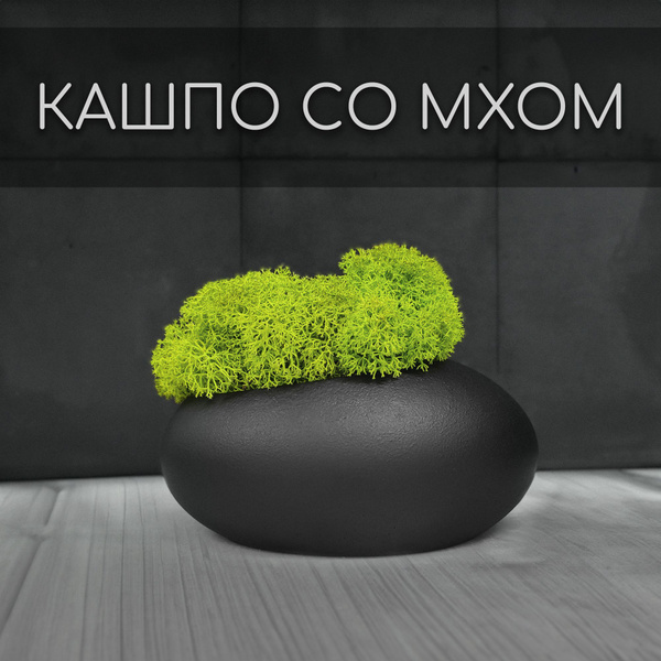 Кашпо, Кашпо со мхом; травка в горшке; живой мох; для декора; мох в ...