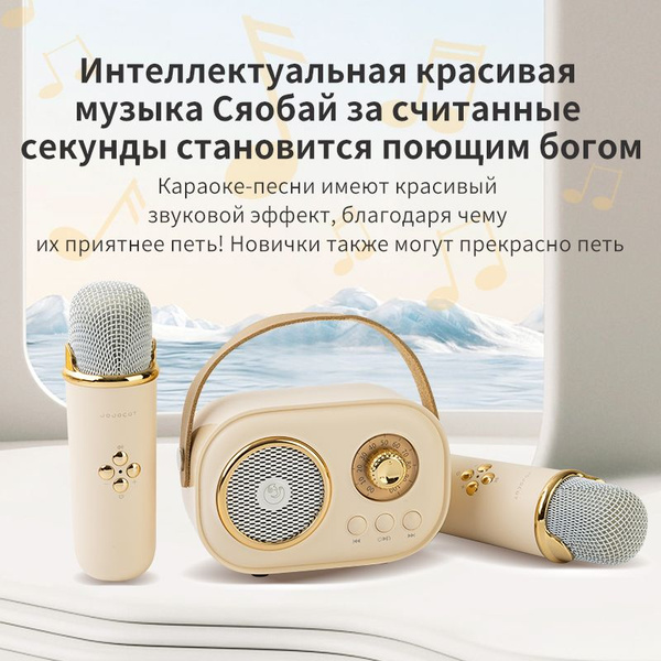 Беспроводная колонка OYUHOYO C20s - купить по доступным ценам в ...