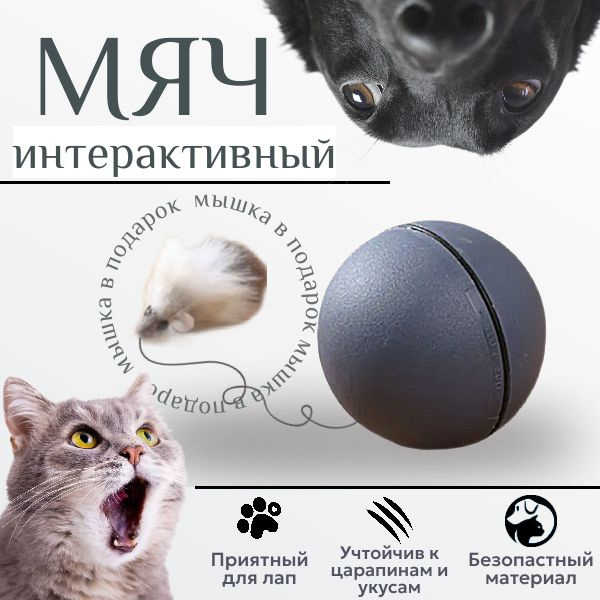 Игрушка для кошек интерактивная, мячик и мышка, дразнилка. купить на ...