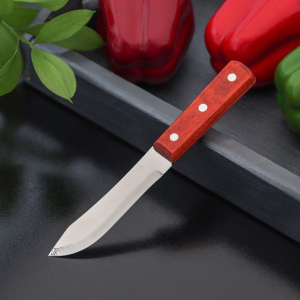 Купить Нож для мяса и стейков Доляна Мачете лезвие 10 см не задано