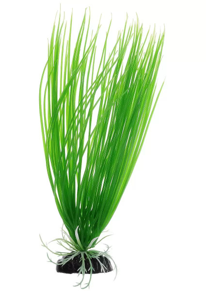 Растение искусственное Barbus Plant 007 Акорус 10см - купить с ...