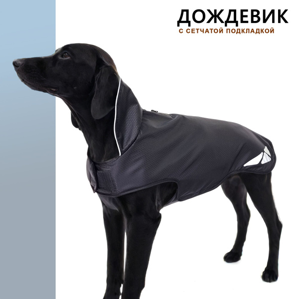 Жилет для собак мелких, средних и крупных пород - купить с доставкой по ...