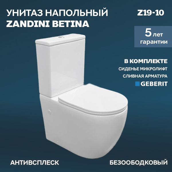 Унитаз напольный Zandini Verona Z19-10 безободковый купить на OZON по низкой цене (1663106024)