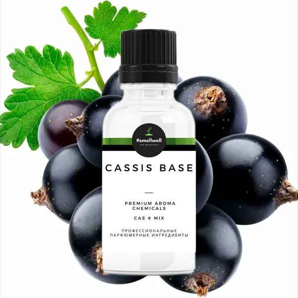 CASSIS BASE / Черная смородина парфюмерная база 2.5 МЛ купить на OZON по низкой цене (1701300926)