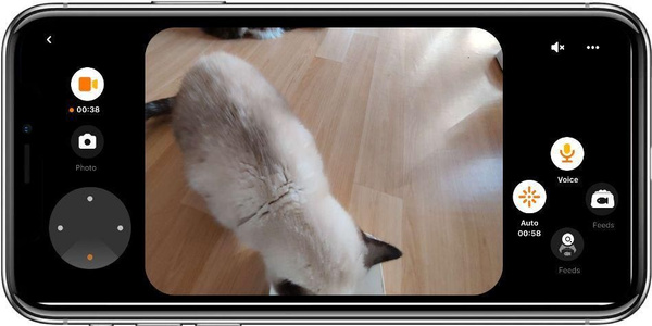 Видеоняня, автоматическая кормушка для кошек и собак Hholove O Sitter ...